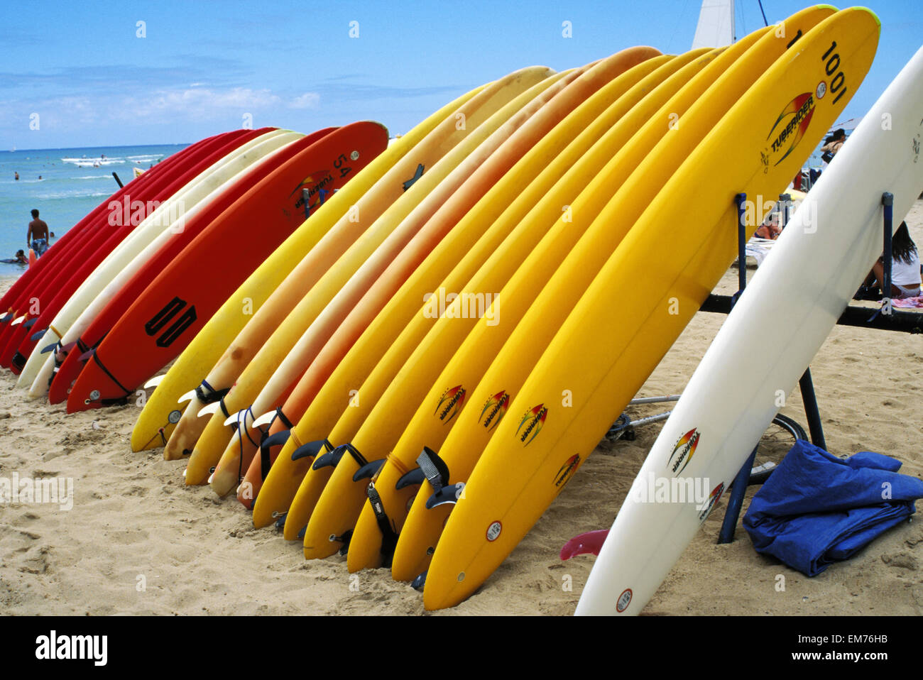 Surfboards Of Different Lengths And Colors Lined Up On A Rack Stock ...