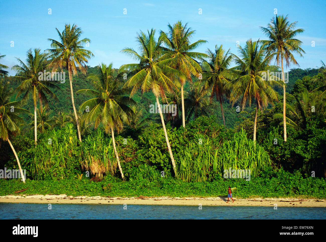 Micronesia, Caroline Islands, Kosrae, Palms Along Sand Beach, Ocean ...