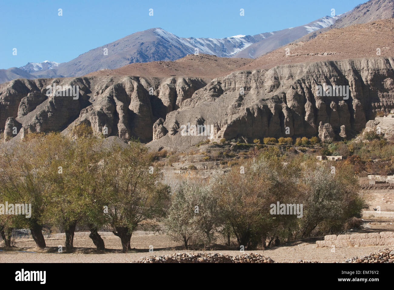 Fruit Trees In Shekh Ali, Parwan Province, Afghanistan Stock Photo - Alamy