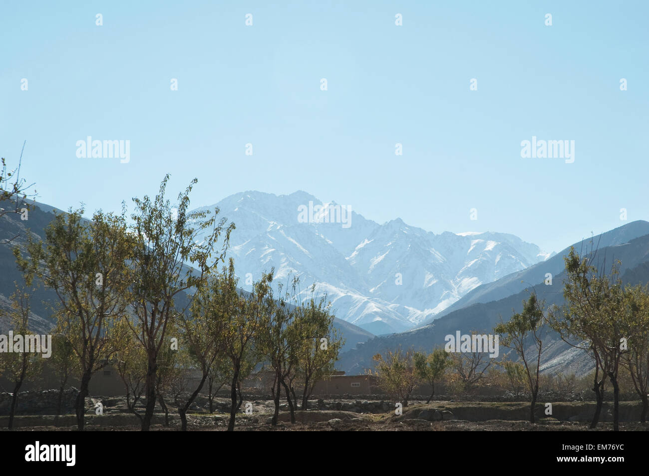Fruit Trees In The Siagerd Valley, Parwan Province, Afghanistan Stock ...