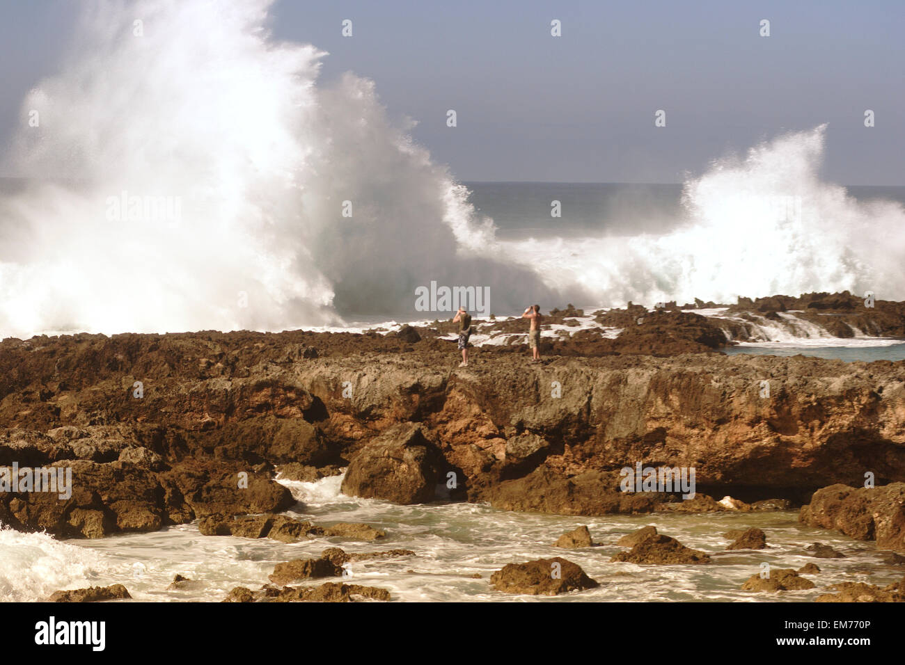 Shark cove hawaii hi-res stock photography and images - Alamy