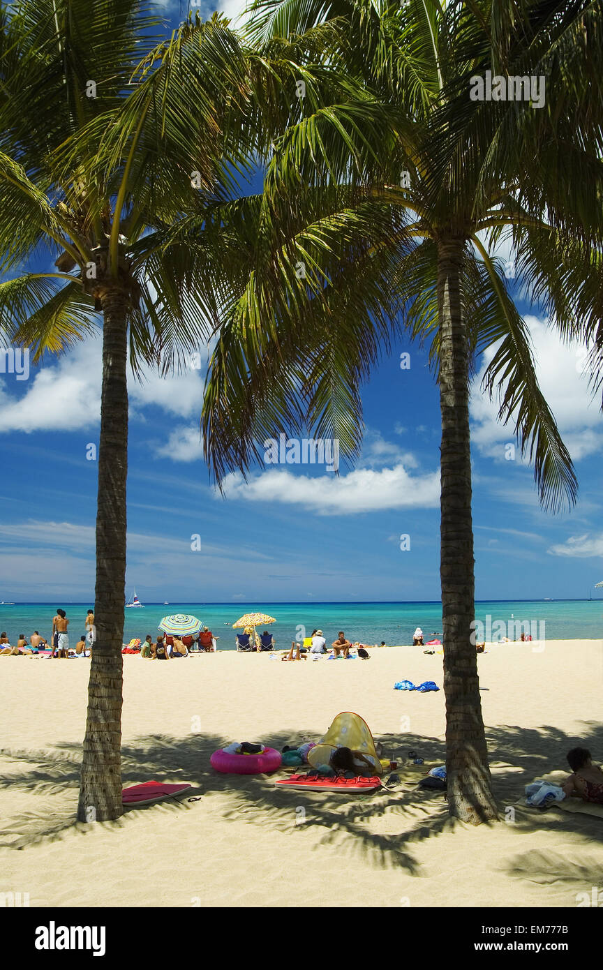 Hawaii, Oahu, Waikiki, Queen's Beach Crowded With Tourists, Two Palm ...