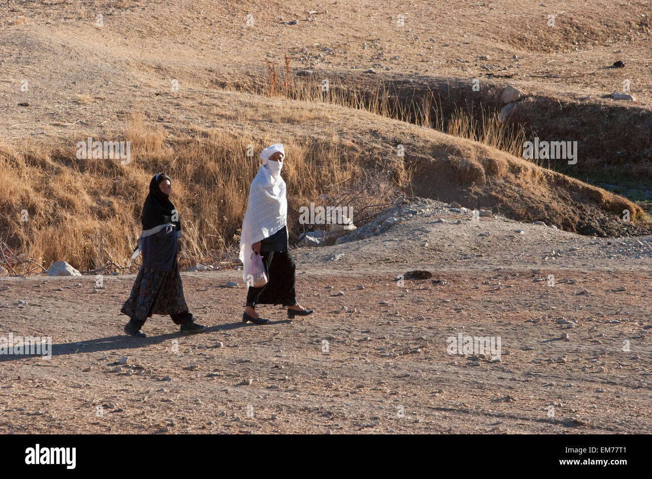 Shibar hi-res stock photography and images - Alamy