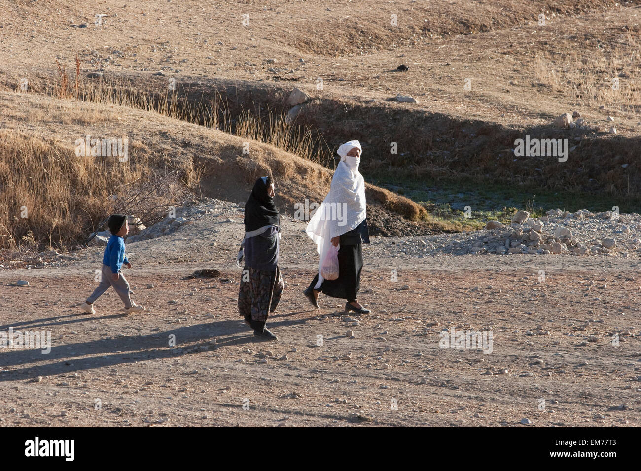 Shibar hi-res stock photography and images - Alamy