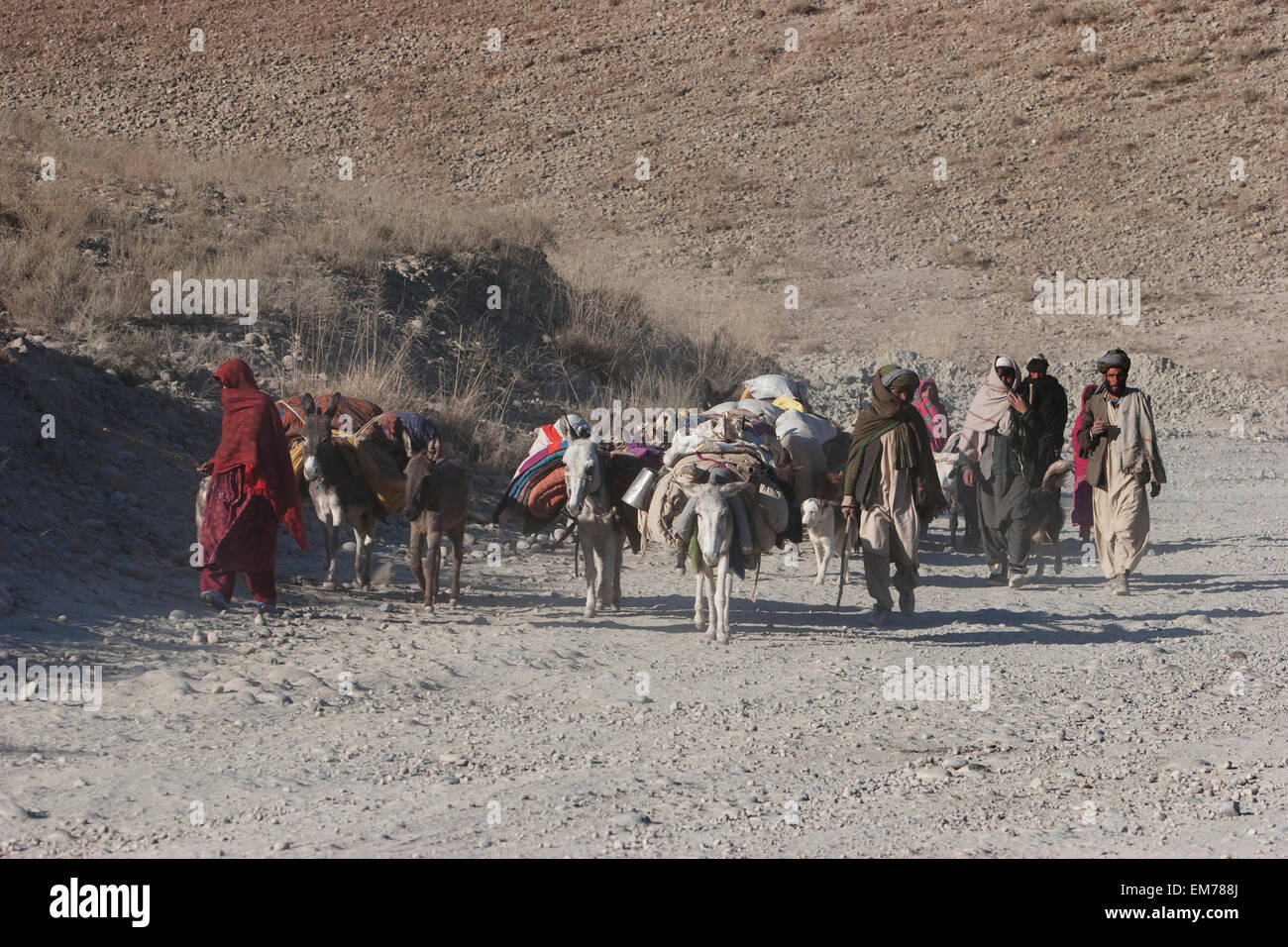 Kuchi Nomad Family And Their Donkeys On The Kabul To Sarobi Road, Kabul ...
