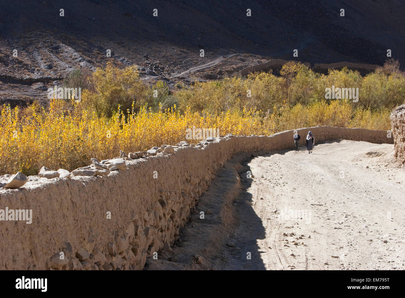 Mud Fence Along A Road In Shekh Ali, Parwan Province, Afghanistan Stock ...
