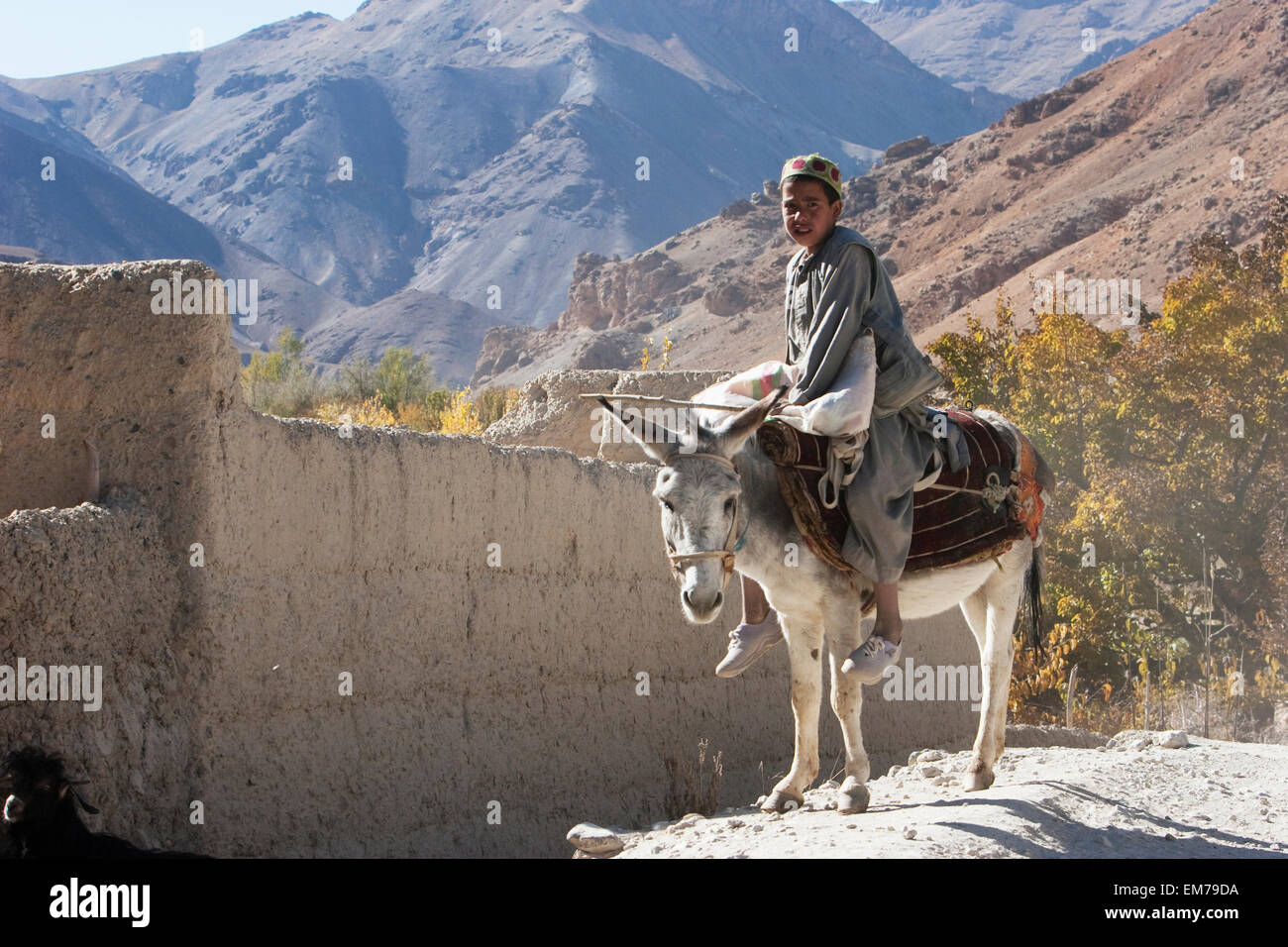 Afghan Boy On A Donkey Near Shekh Ali, Parwan Province, Afghanistan ...