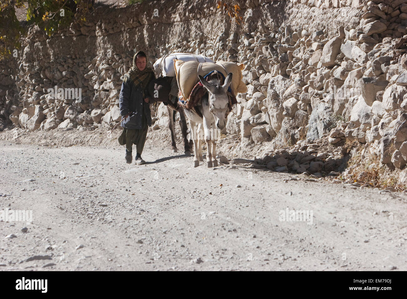 Afghan Girl And A Donkey Near Shekh Ali, Parwan Province, Afghanistan ...
