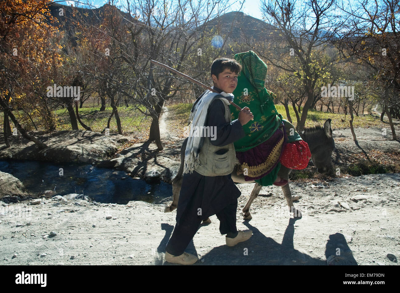 Afghan Boy Walking Next To A Woman Riding A Donkey Near Shekh Ali ...