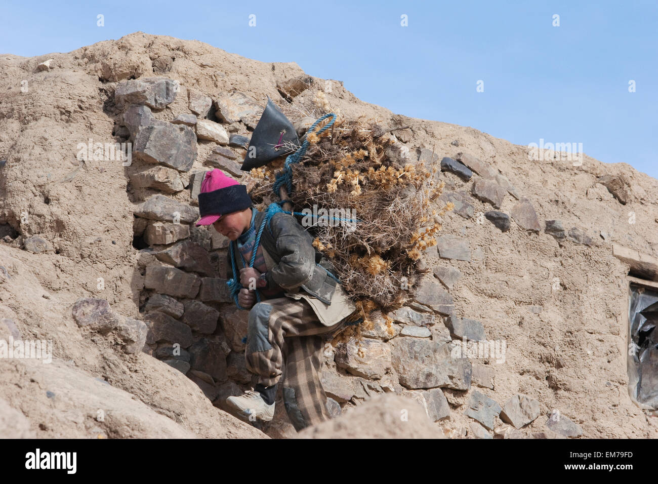 Boy Carrying Brushwood To A Stone House In The Hajigak Pass, Vardak ...