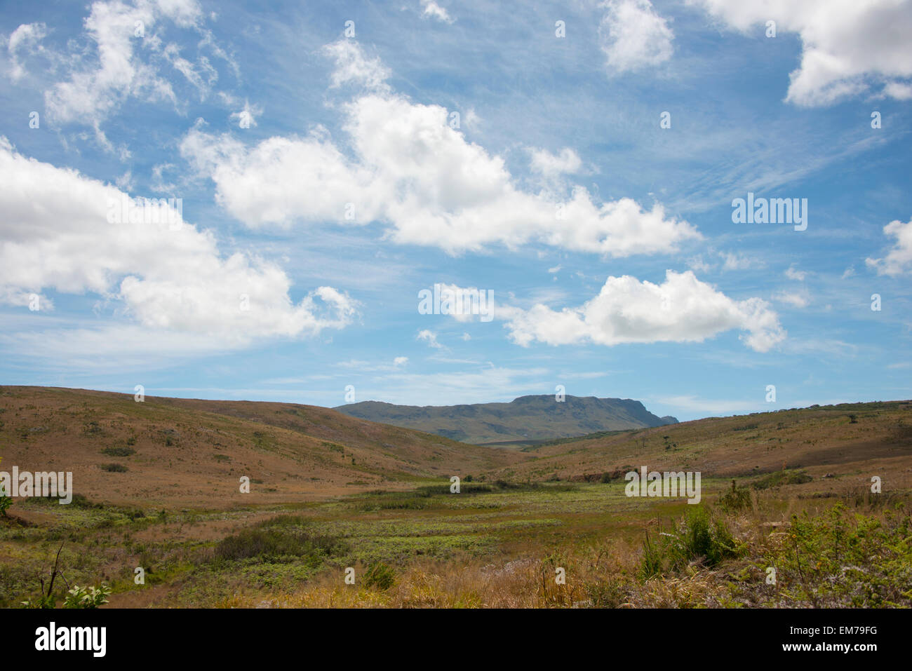 Pungwe River High Resolution Stock Photography and Images - Alamy