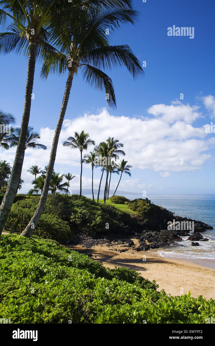 Hawaii, Maui, Wailea, Beautiful Ulua Beach Stock Photo - Alamy