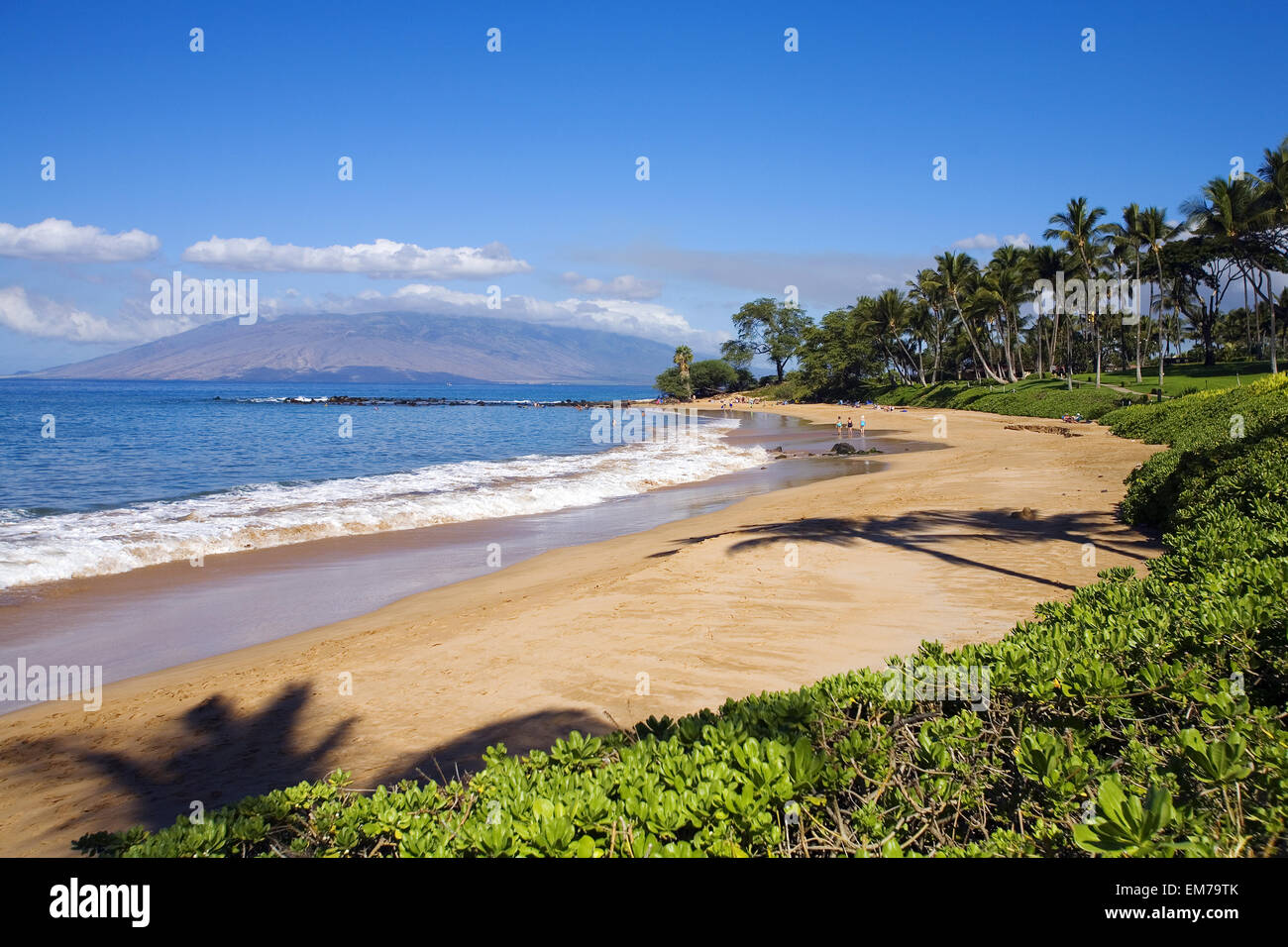 Hawaii, Maui, Wailea, Beautiful Ulua Beach, Palm Tree Shadows Stock ...