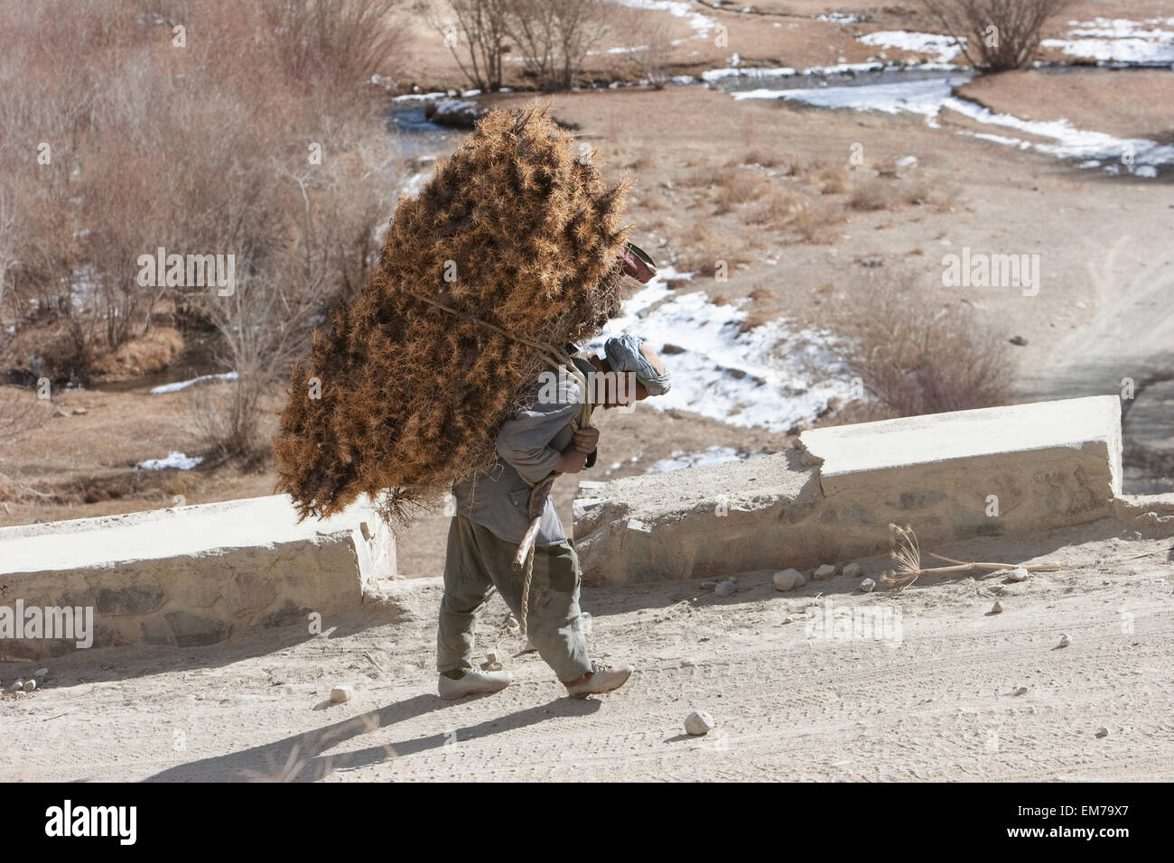 Man Carrying Brushwood Near Zarkharid, Vardak Province, Afghanistan ...