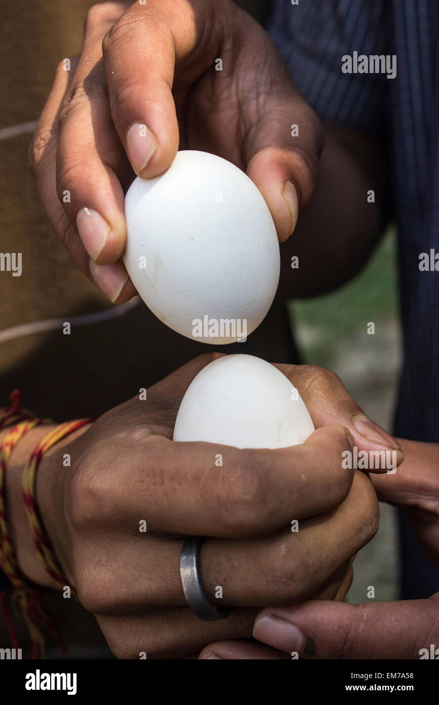 Sivasagar Assam India 17th Apr 2015 Youth Participating In A Egg Fight During Bohag Bihu