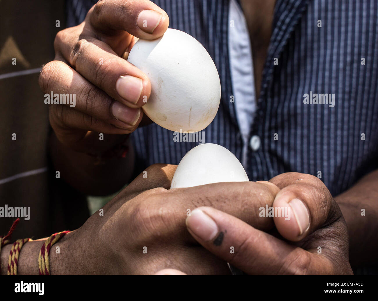 Egg fight hi-res stock photography and images - Alamy