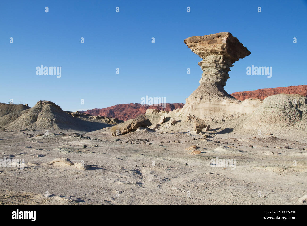 El Hongo Formation, Valle de la Luna (Moon Valley), Ischigualasto ...