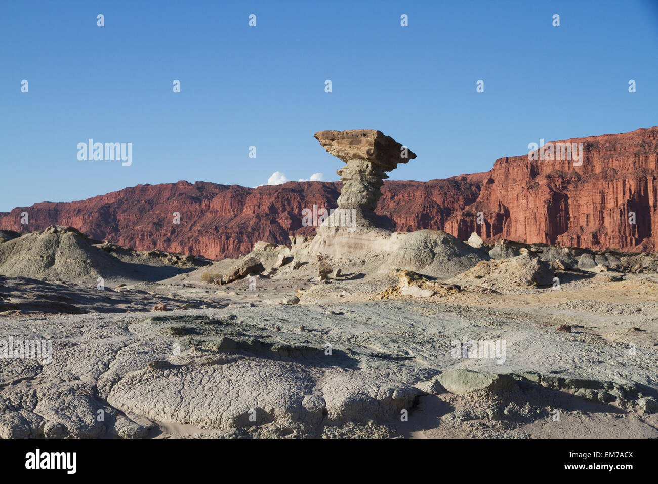 Hongo de color hi-res stock photography and images - Alamy