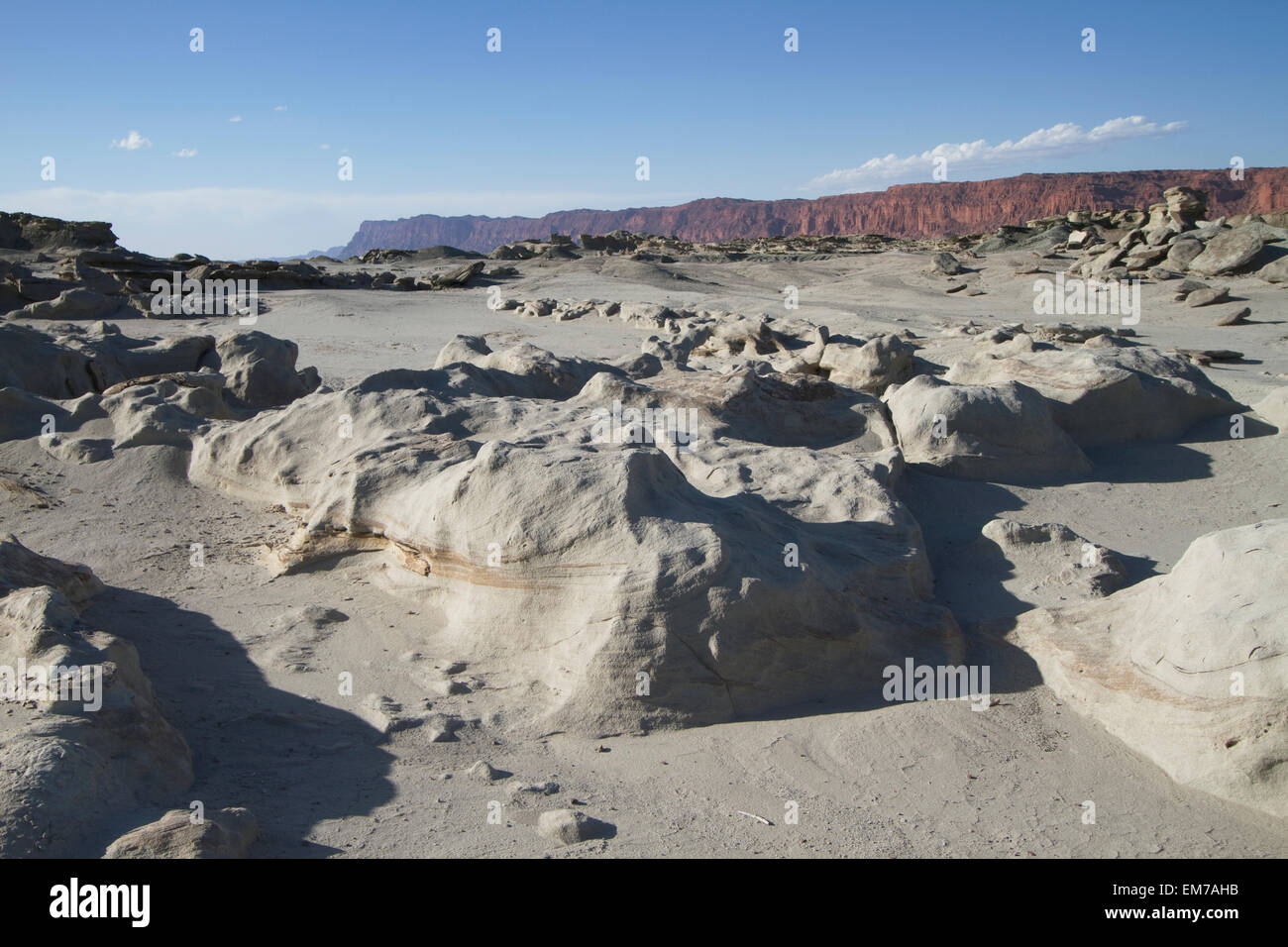 Ischigualasto Formation, Valle de la Luna (Moon Valley), Ischigualasto ...