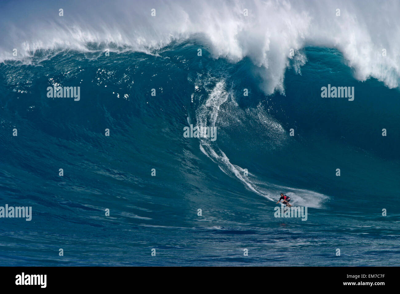 Hawaii, Maui, Mark Anderson Surfs 50 Foot Wave At Jaws Aka Peahi Stock ...