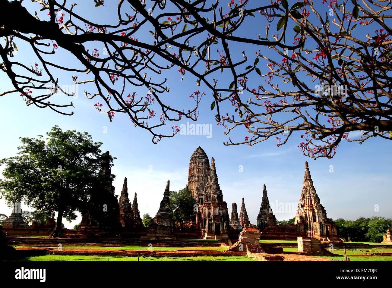 Stu symbol hi-res stock photography and images - Alamy