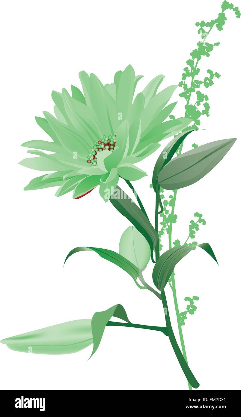 flower. vector illustration Stock Vector Image & Art - Alamy