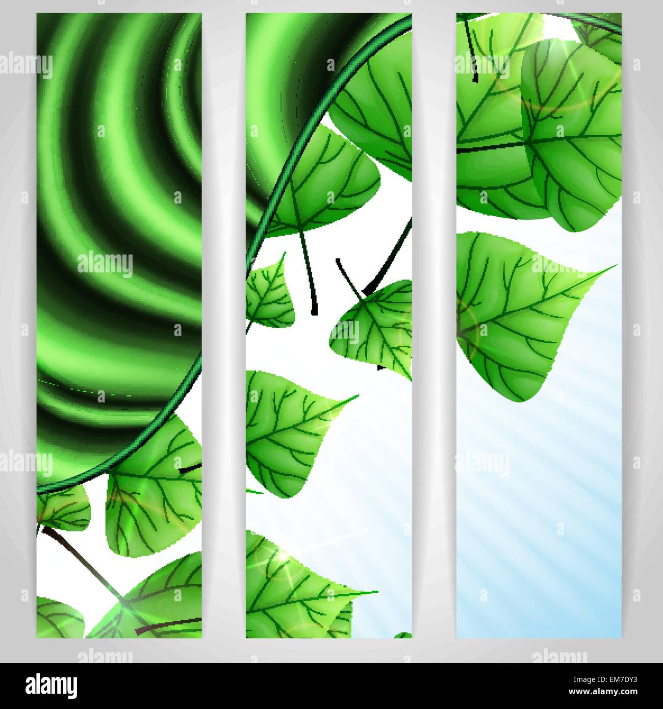 Green leaves line Stock Vector Images - Alamy
