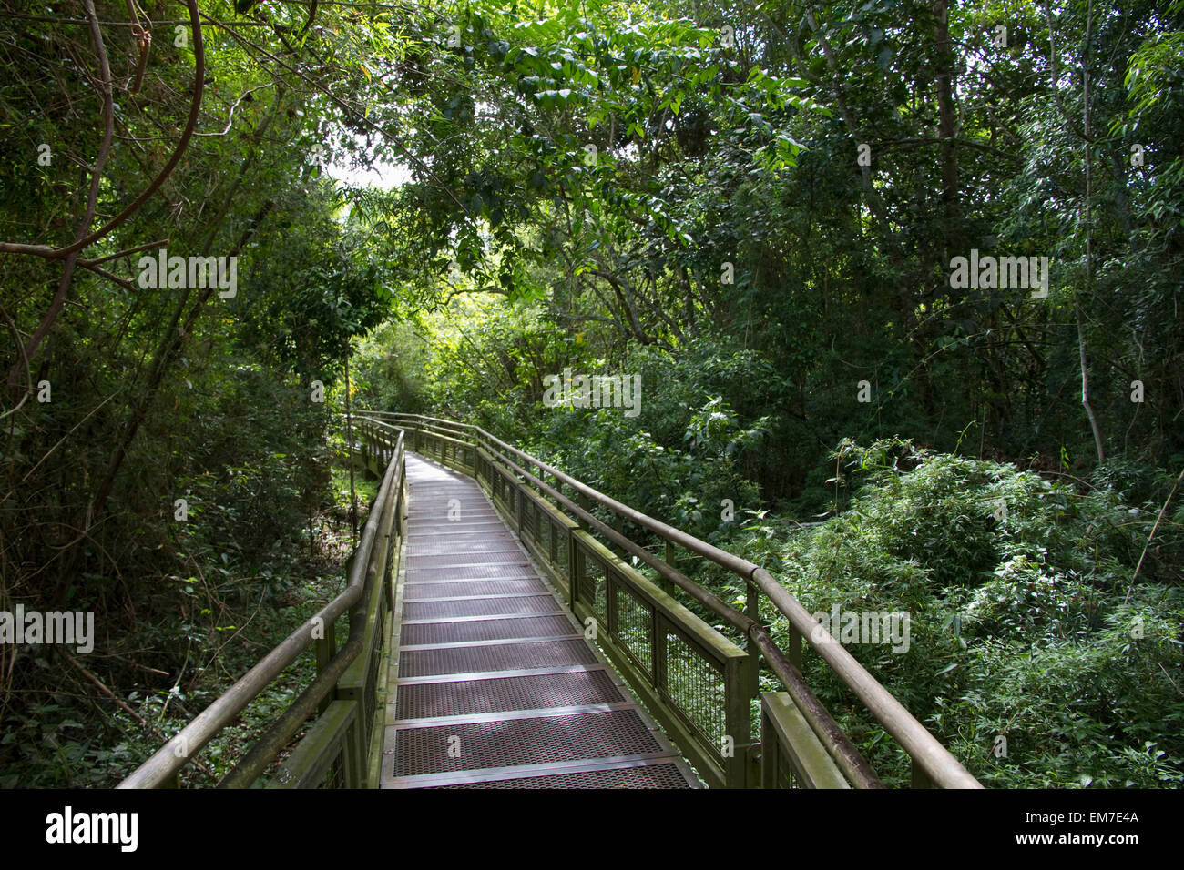 Walkway, Iguazu Falls National Park, Misiones, Argentina Stock Photo ...