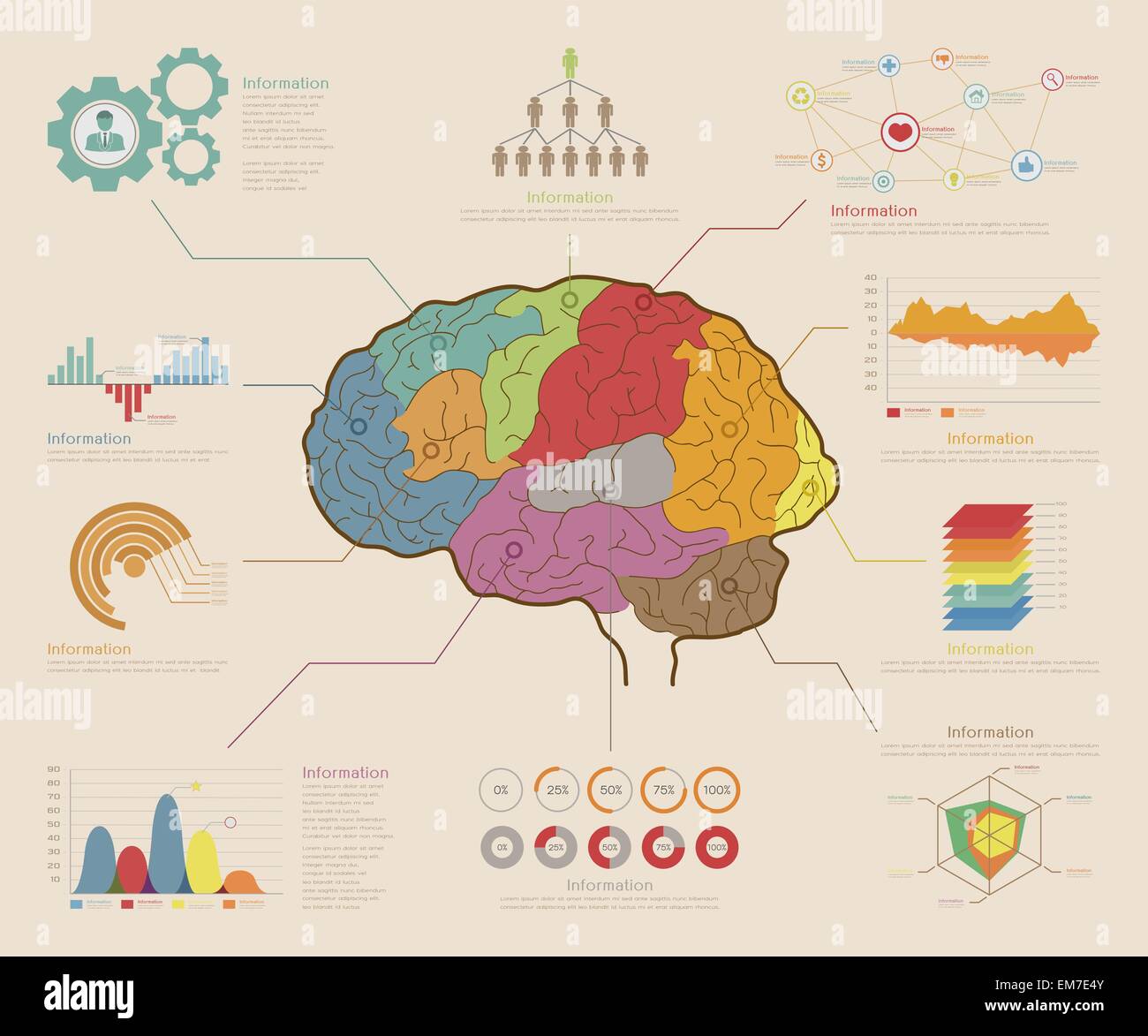 Brain infographic hi-res stock photography and images - Alamy