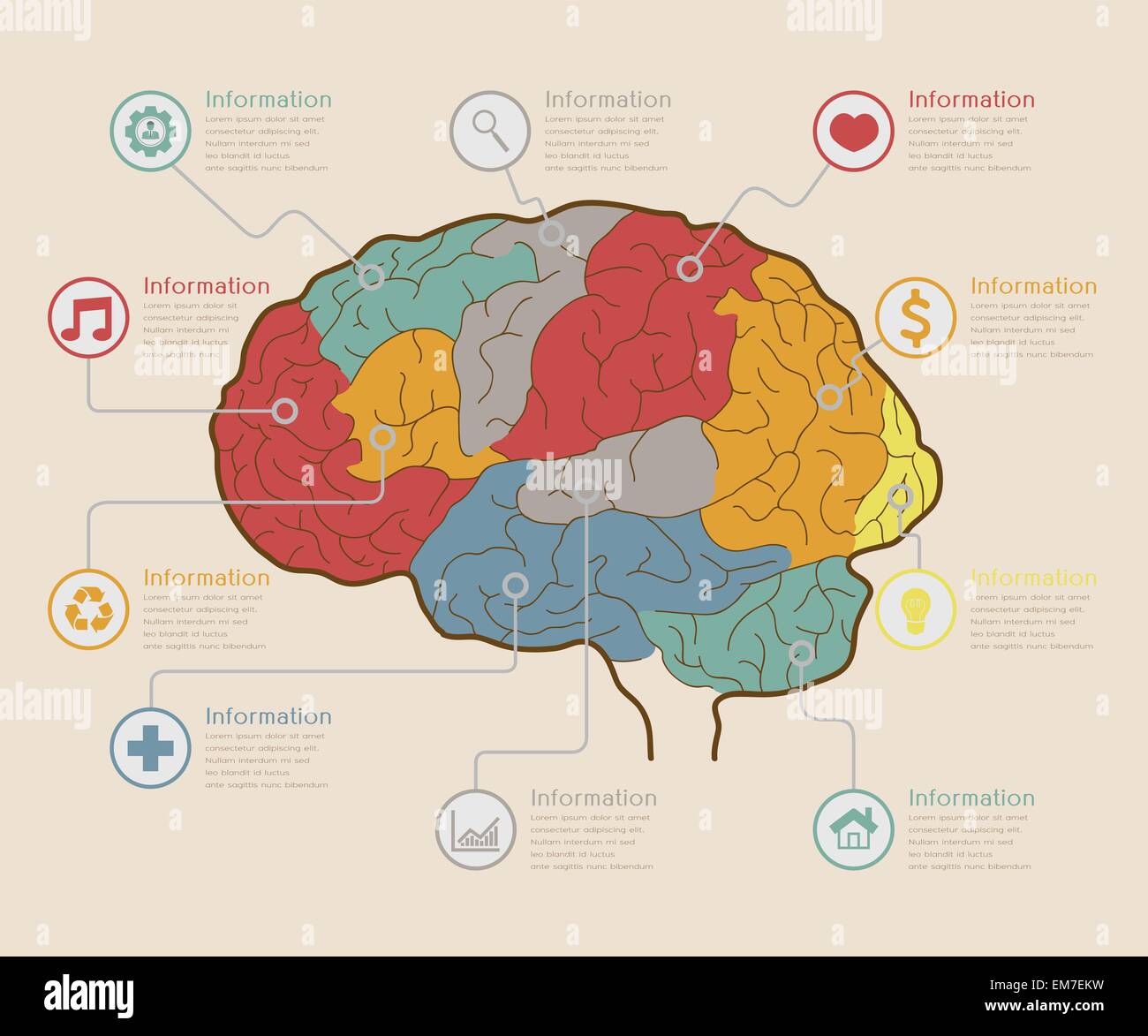 Infographic Elements , Brain concept Stock Vector Image & Art - Alamy