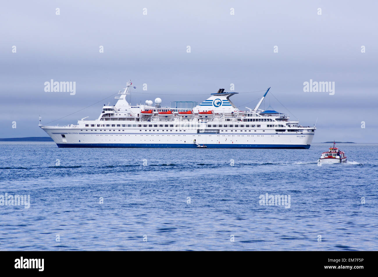 Delphin hi-res stock photography and images - Alamy