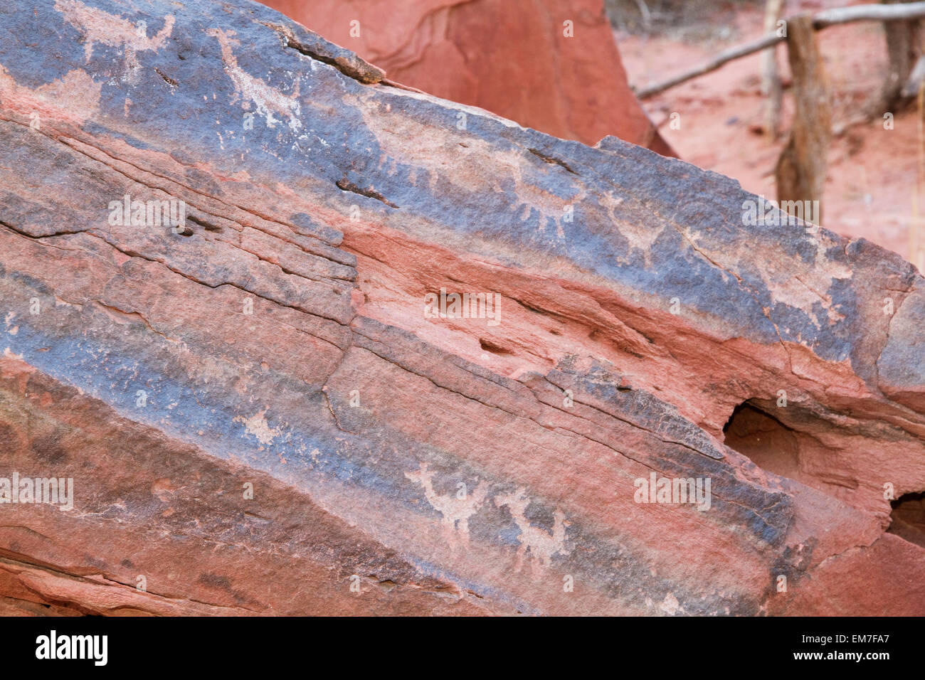 Zoomorphic petroglyphs on a rock in Talampaya Canyon, Talampaya ...
