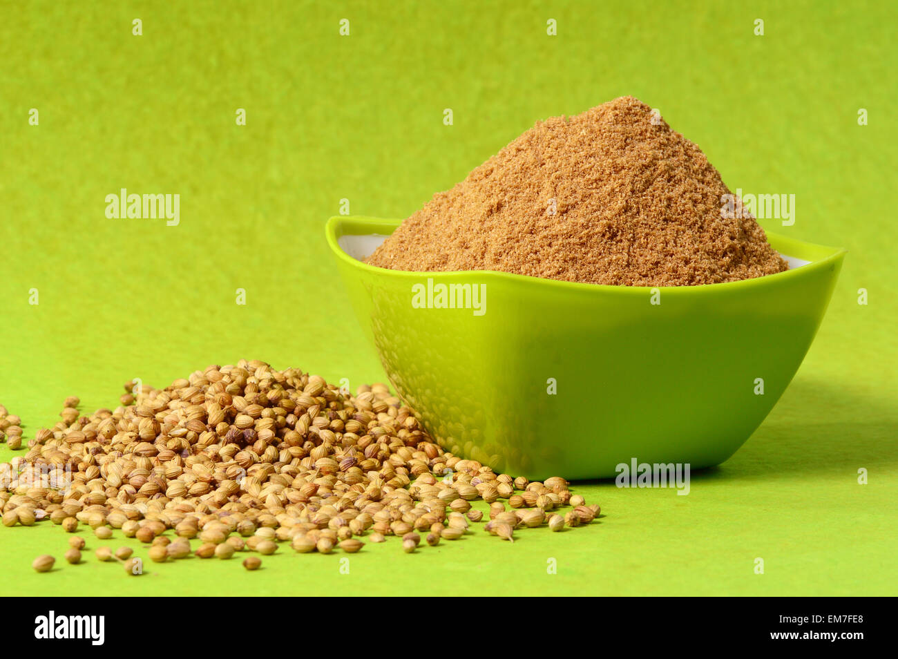 Coriander seeds and Powdered coriander in green container on green ...