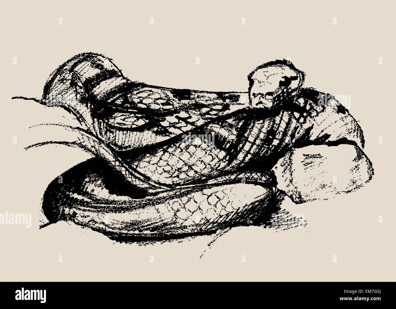Snake Sketch, Beautiful Terrible Reptile Vector Illustration Stock ...