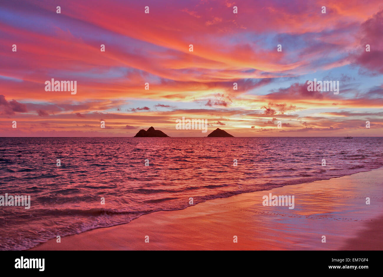 Hawaii, Oahu, Lanikai, A Colorful Pink Sunrise Over The Mokulua Islands ...