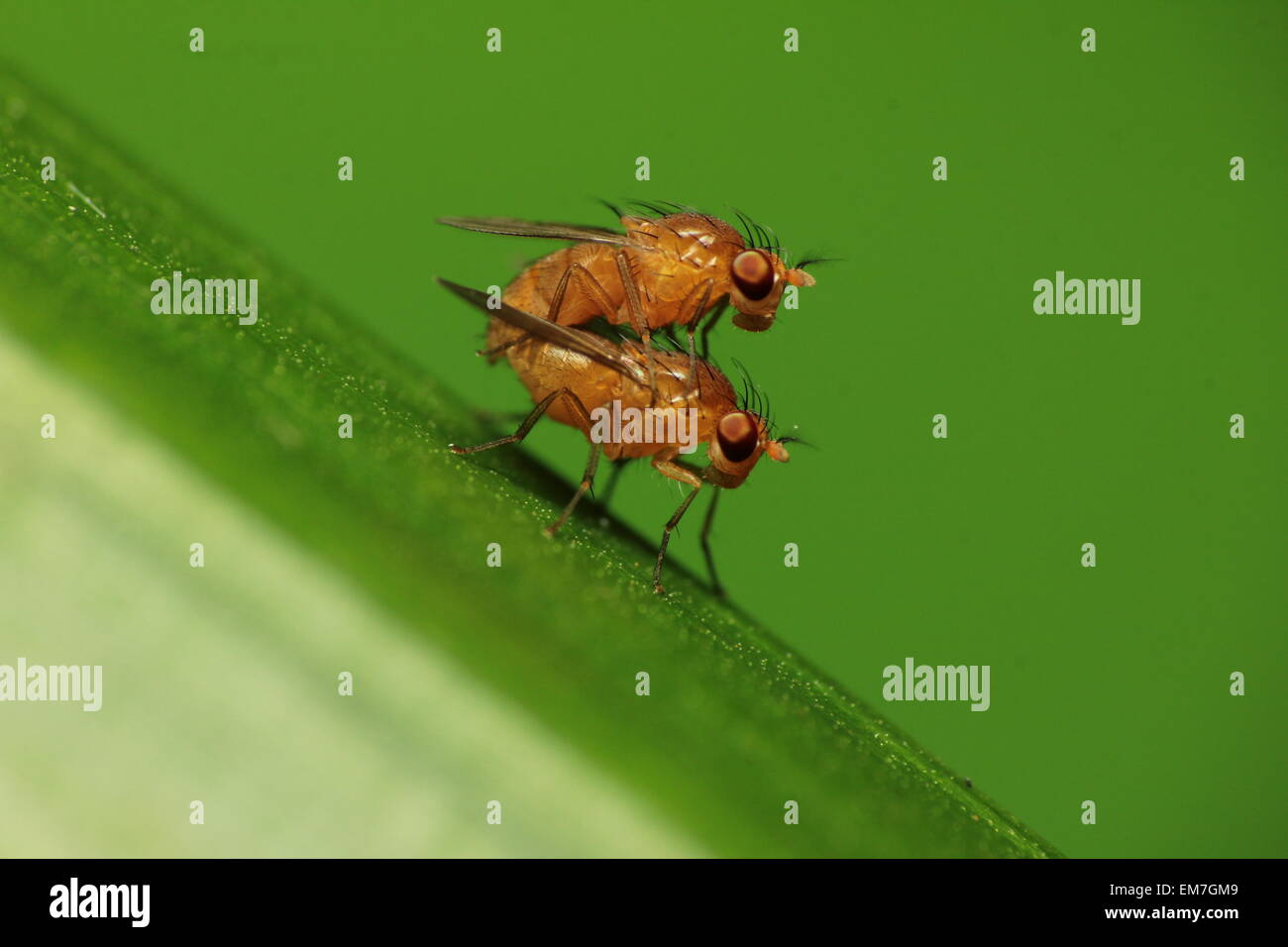 Mind boggling hi-res stock photography and images - Alamy