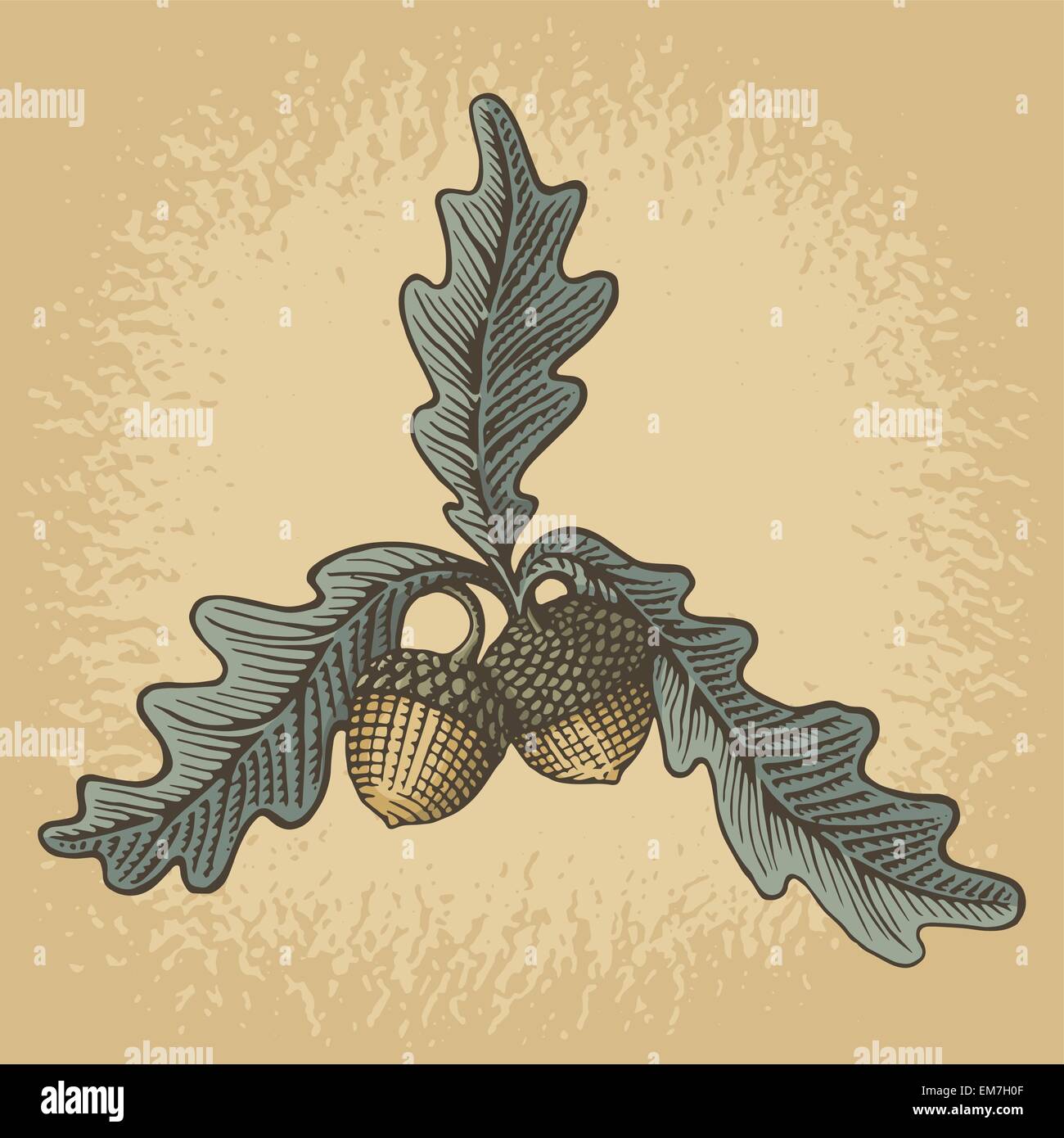 Plant Woodcut Stock Photos & Plant Woodcut Stock Images - Alamy