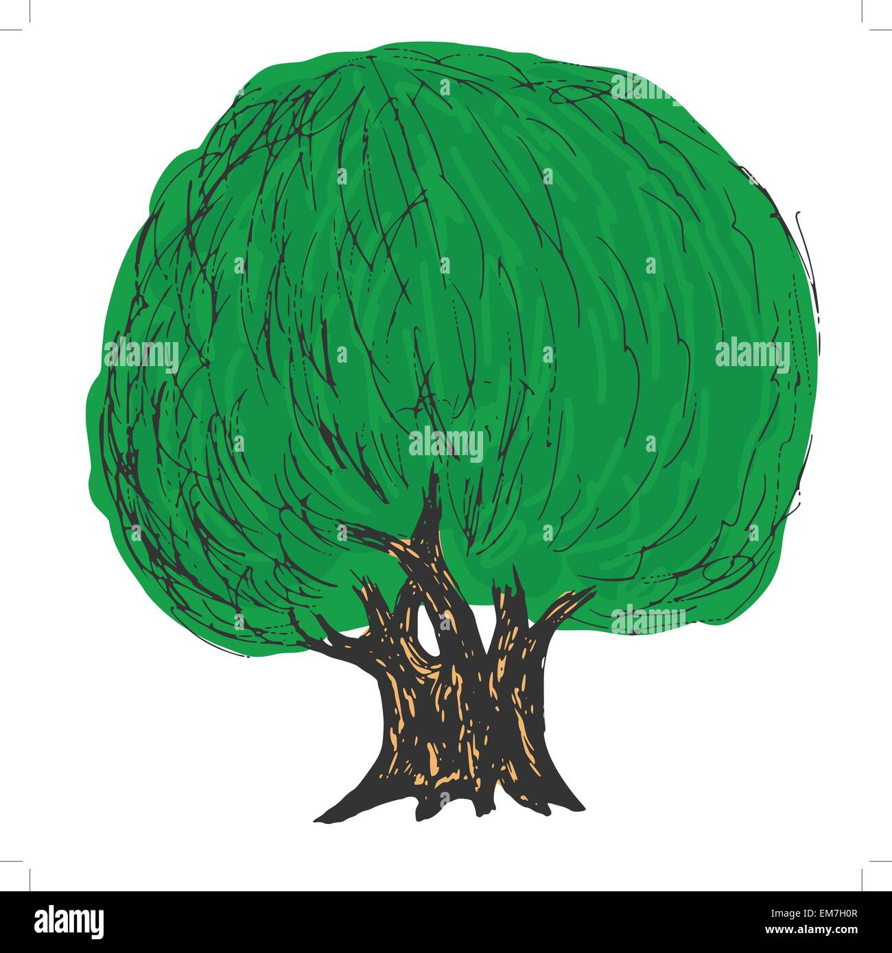 Hand drawn green tree hi-res stock photography and images - Alamy