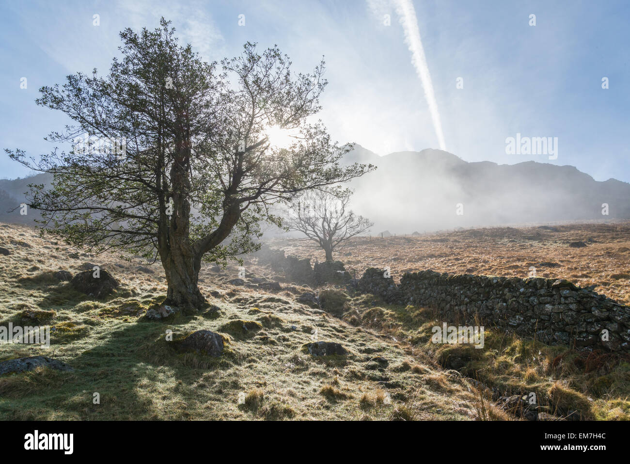 Cumbria spring hi-res stock photography and images - Alamy