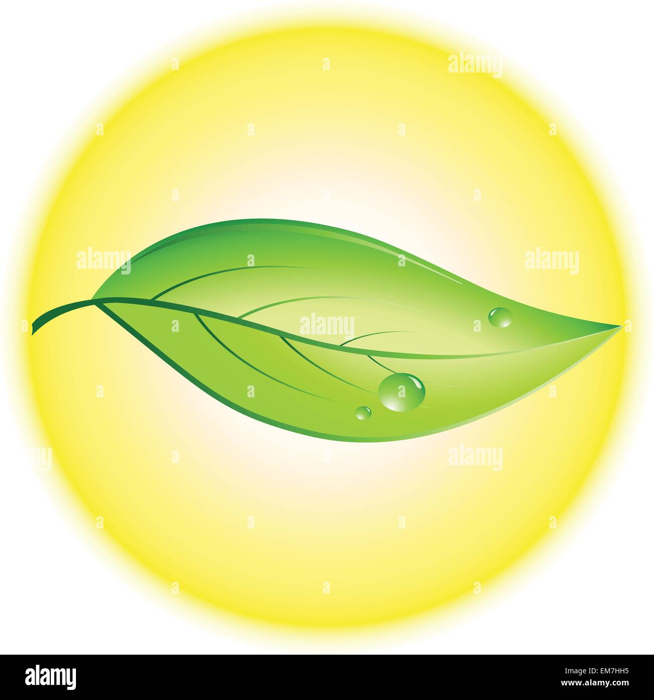 Golden leaf Stock Vector Images - Alamy