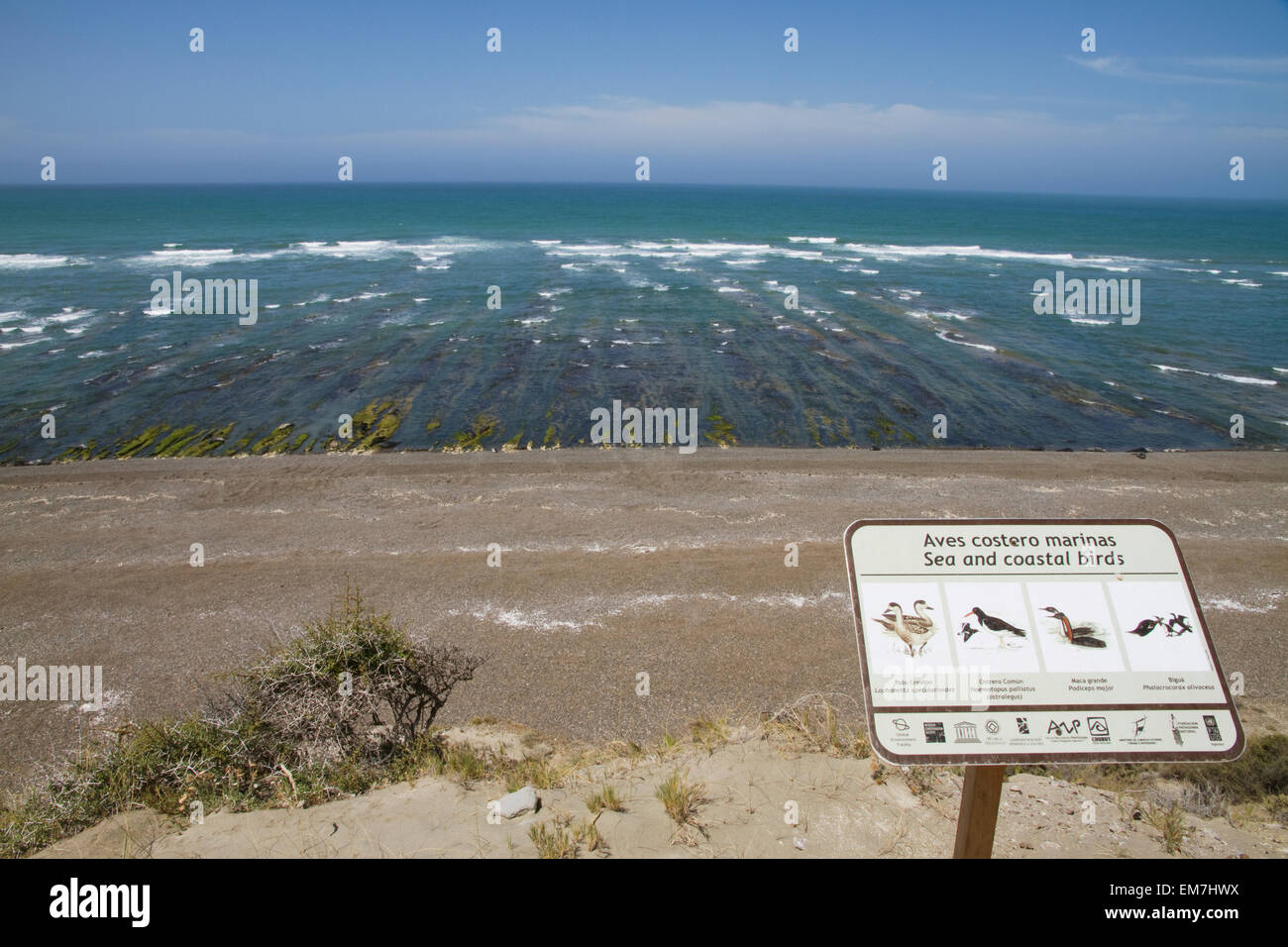 Caleta Valdes, Peninsula Valdes, Chubut, Argentina Stock Photo - Alamy