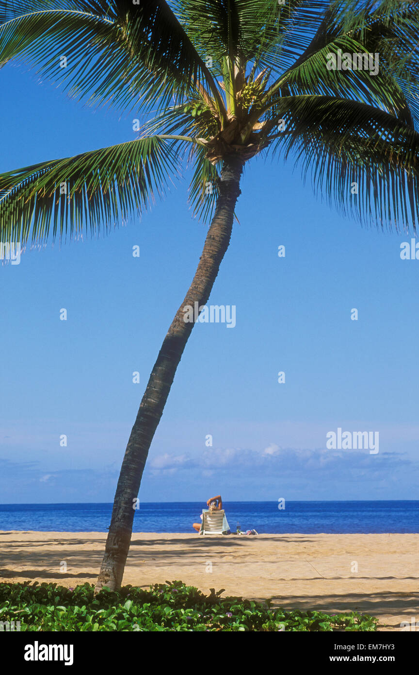 Hawaii, Lanai, Manele Bay Beach Park, Palm Tree And Woman On The Beach ...