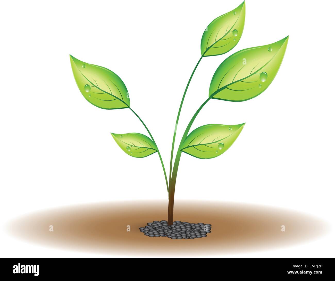 Natural growing Stock Vector Images - Alamy