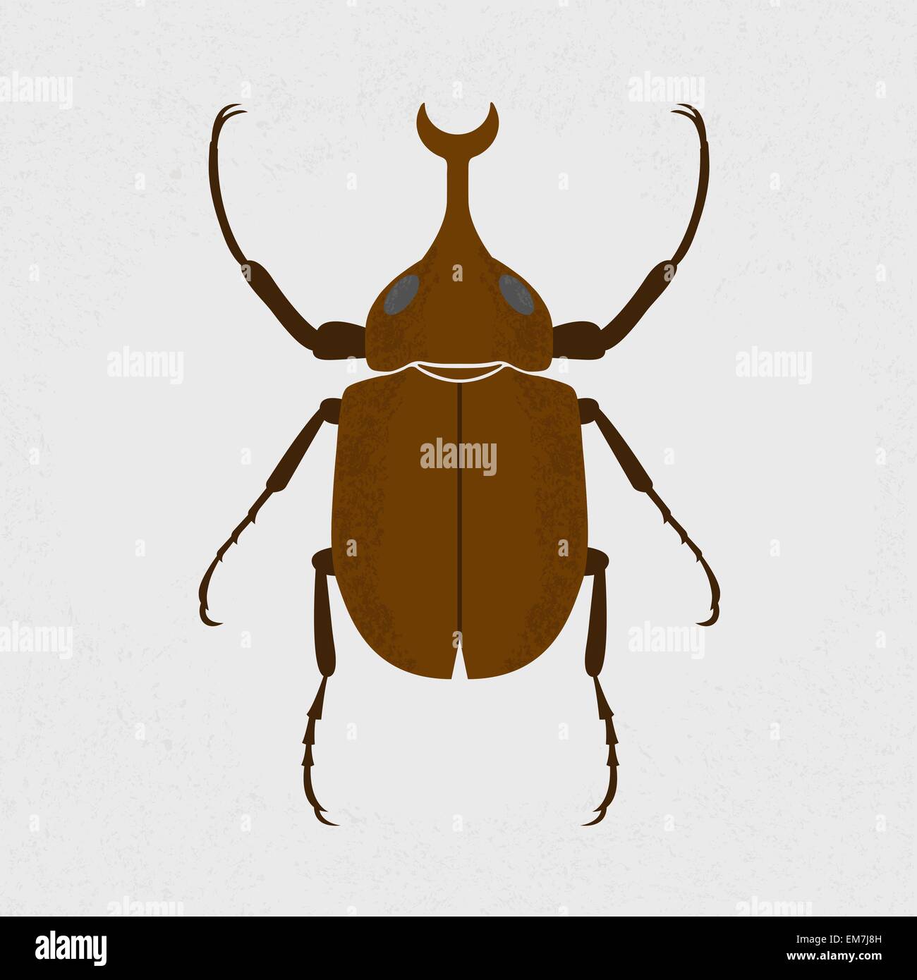 Stag beetle, the largest beetle , eps10 vector format Stock Vector ...