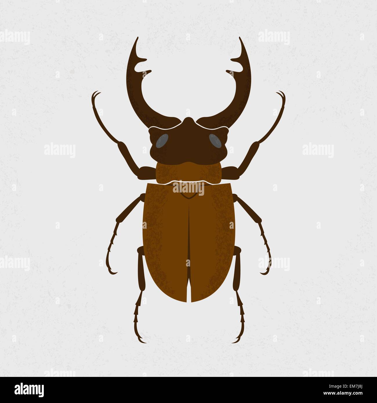 Stag beetle, the largest beetle , eps10 vector format Stock Vector ...