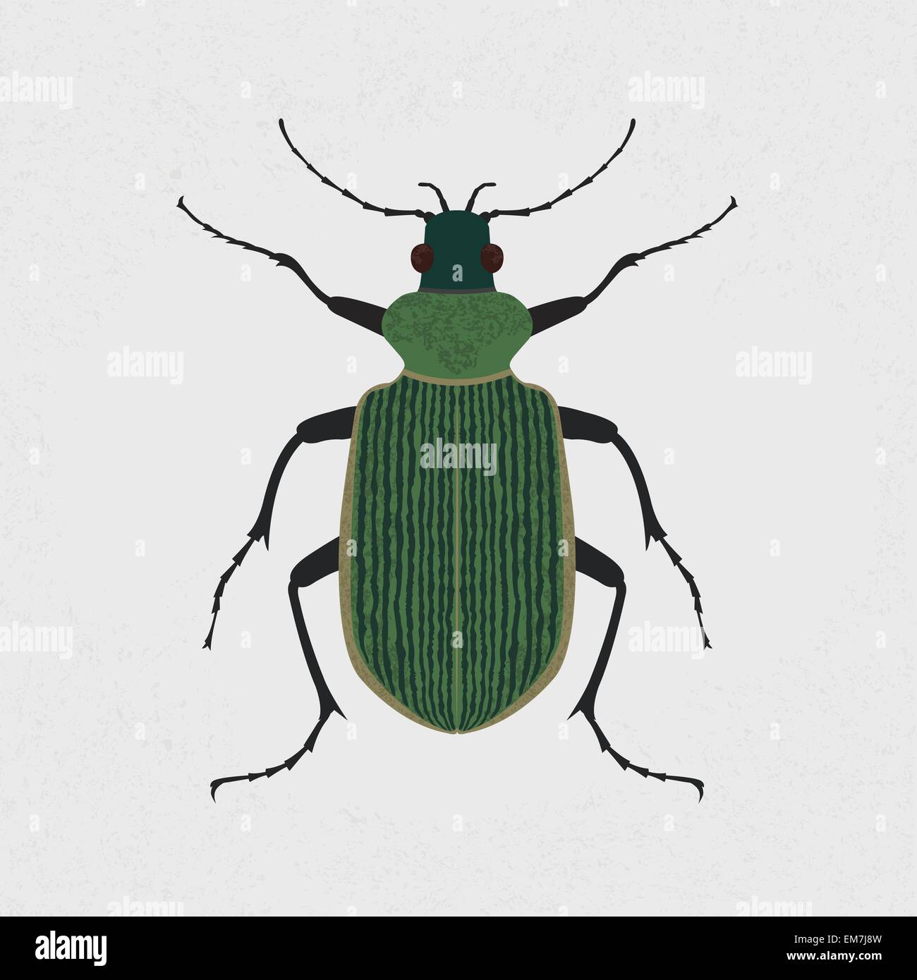 Green beetle , eps10 vector format Stock Vector Image & Art - Alamy
