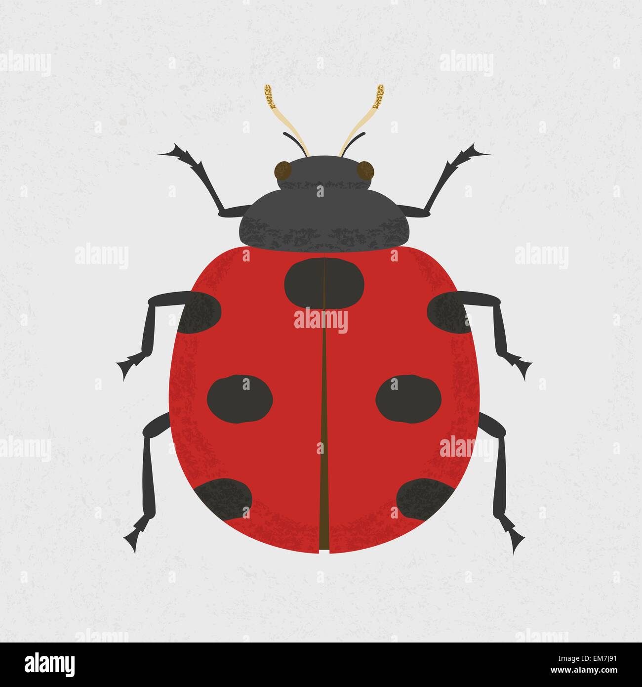 Lady Bug