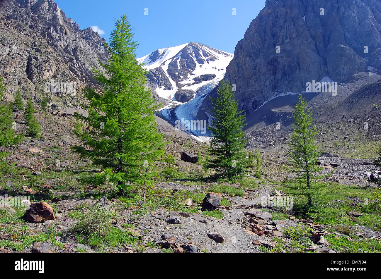 The Altai summer landscape Russia with a steppe covered by grass and ...