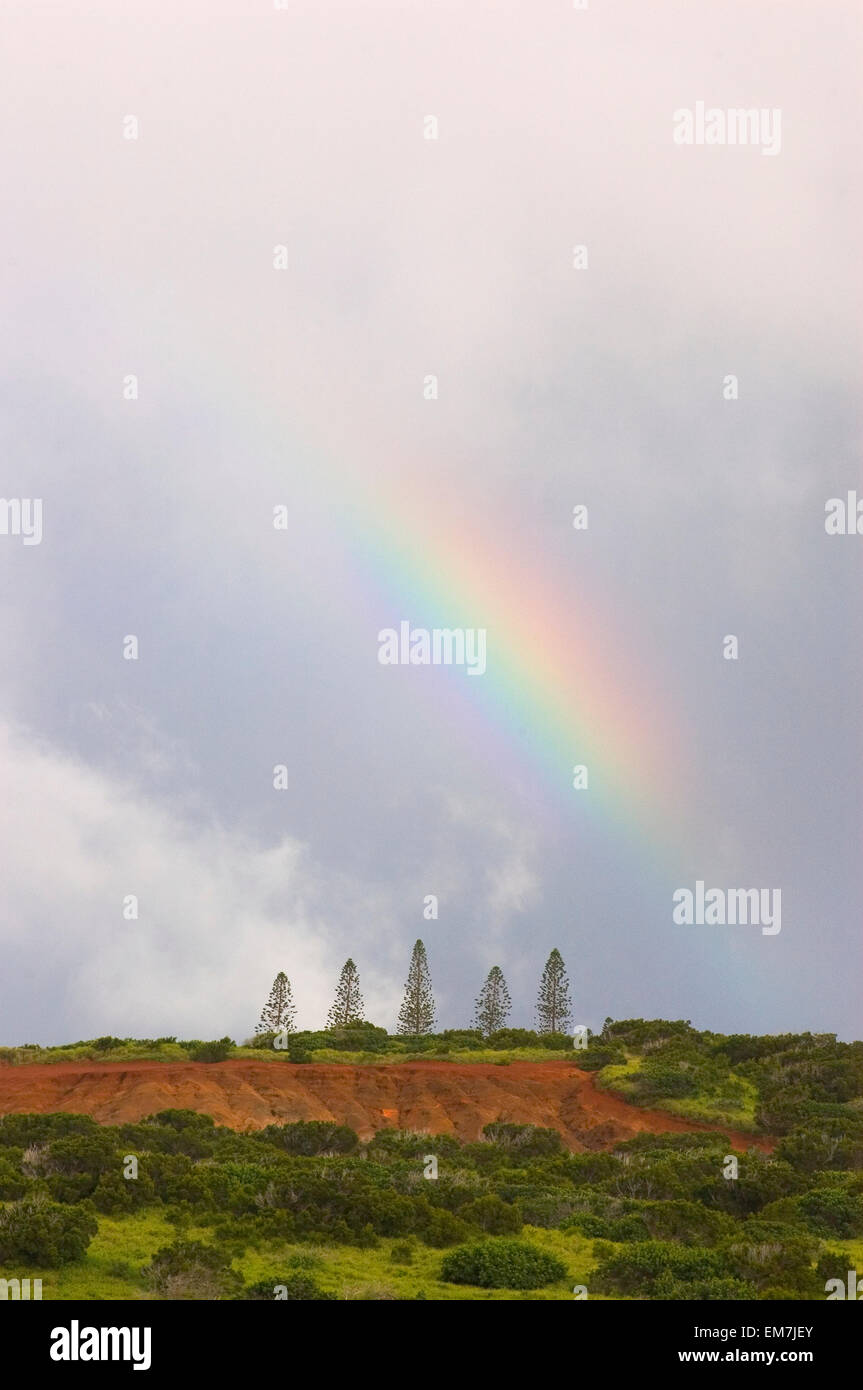 Hawaii, Molokai, Maunaloa, Molokai Ranch, Rainbow Over Norfolk Island ...