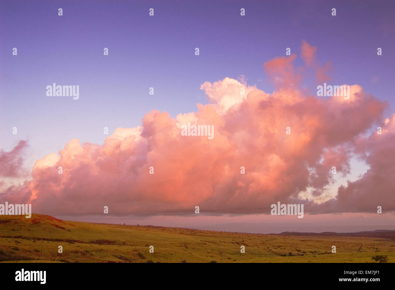 Hawaii, Molokai, Maunaloa, Molokai Ranch, Pink Clouds Over Pasture At ...